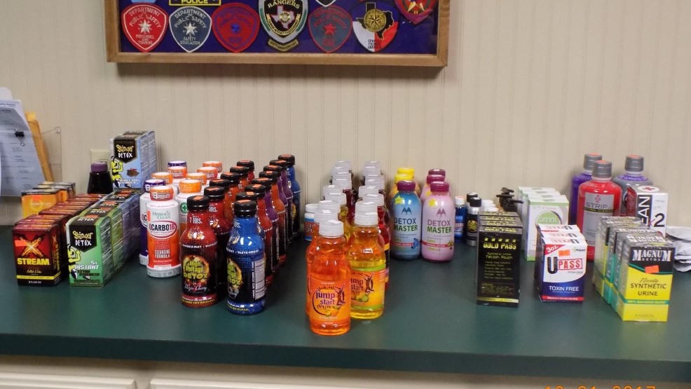 Synthetic Urine Kit Mill Park Portland OR | High Level Health