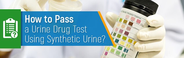 Synthetic Urine Kit Downtown Colorado Springs CO | High Level Health