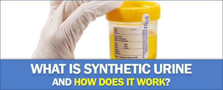 Synthetic Urine Kit La Paloma Durango CO | High Level Health