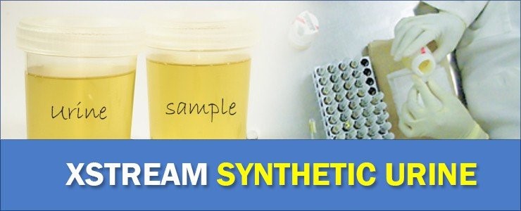 Synthetic Urine Kit Midway Mascotte FL | High Level Health